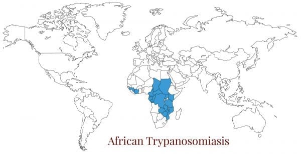 Common Infections | Parasites without Borders