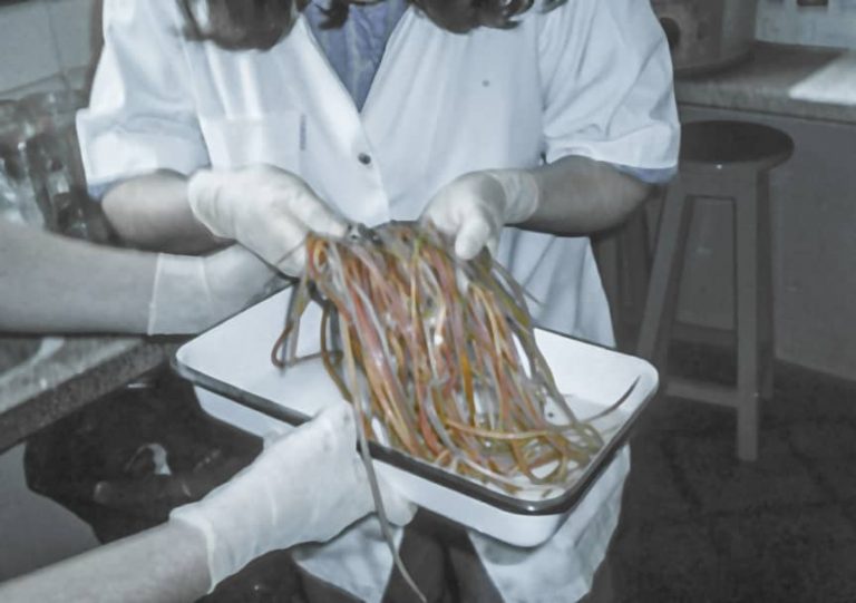Intestinal Nematodes | Parasites without Borders